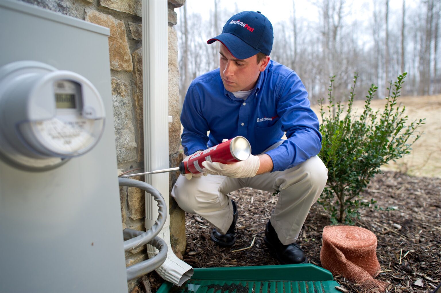 About Us | American Pest