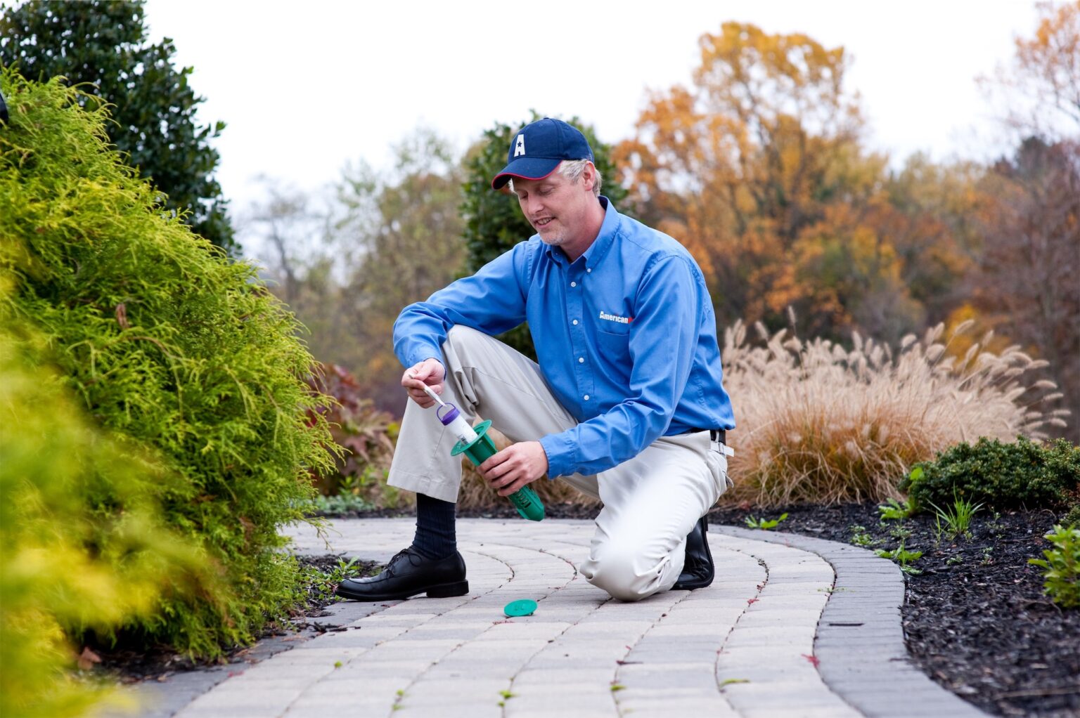 Termite Control in Bellevue, DC [Get Pest Help Today!]