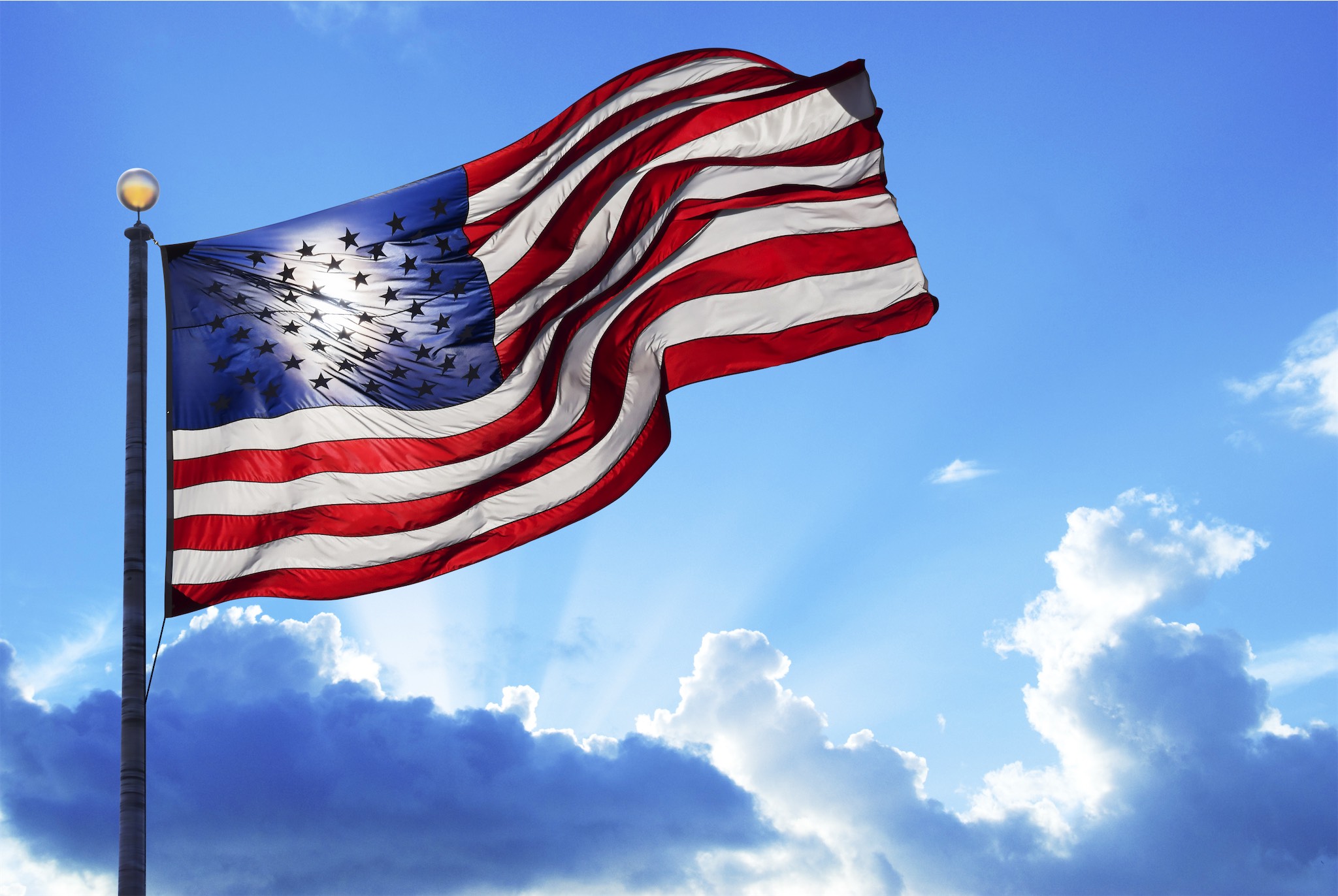Government Pest Control | American Pest