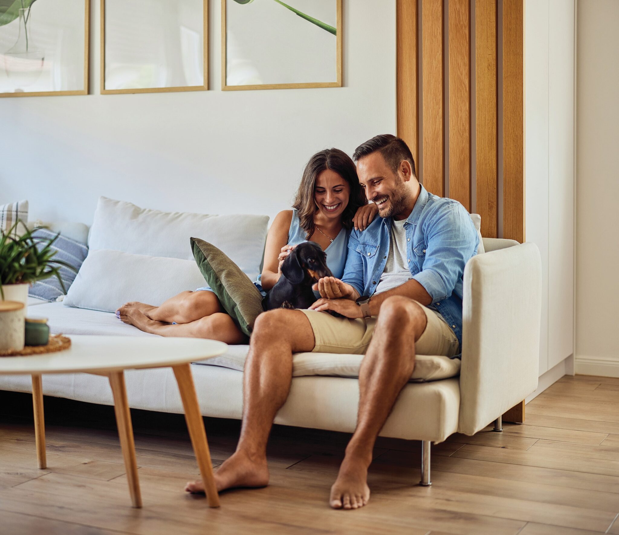 Bugs in Living Room: Prevention Strategies for Families | American Pest