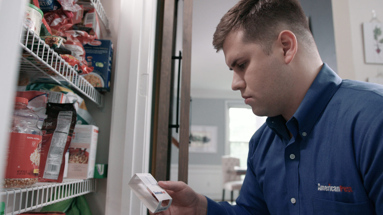 Pantry Pests: How to Protect Your Food | American Pest